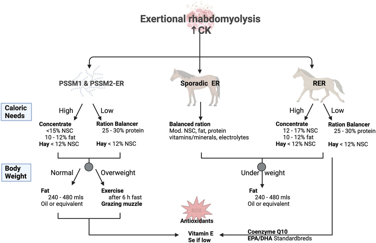 MUSCLE DISEASE – KER Targeted Nutrition